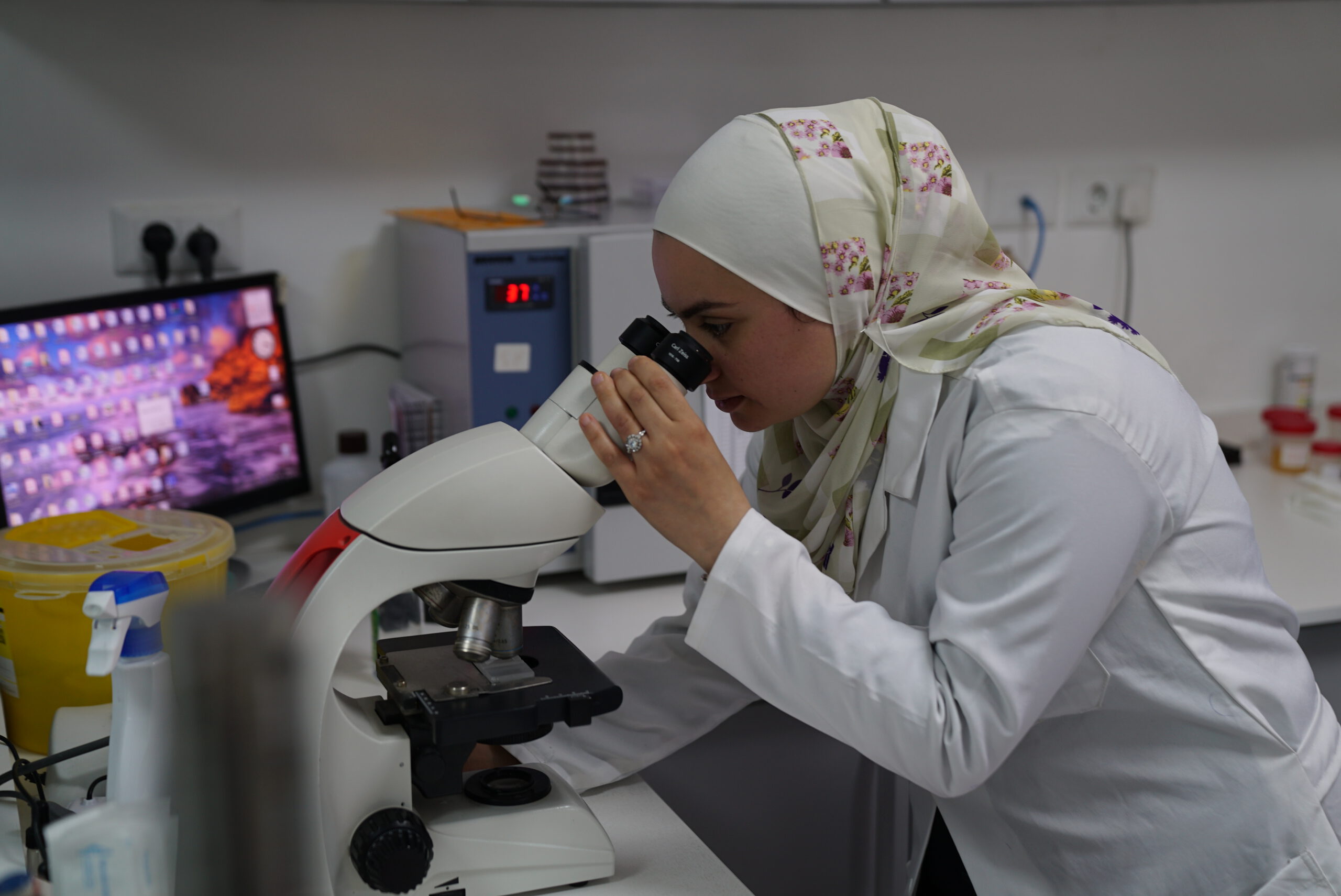 Jordanian graduates take internships and learn ‘work ready’ skills - SPARK